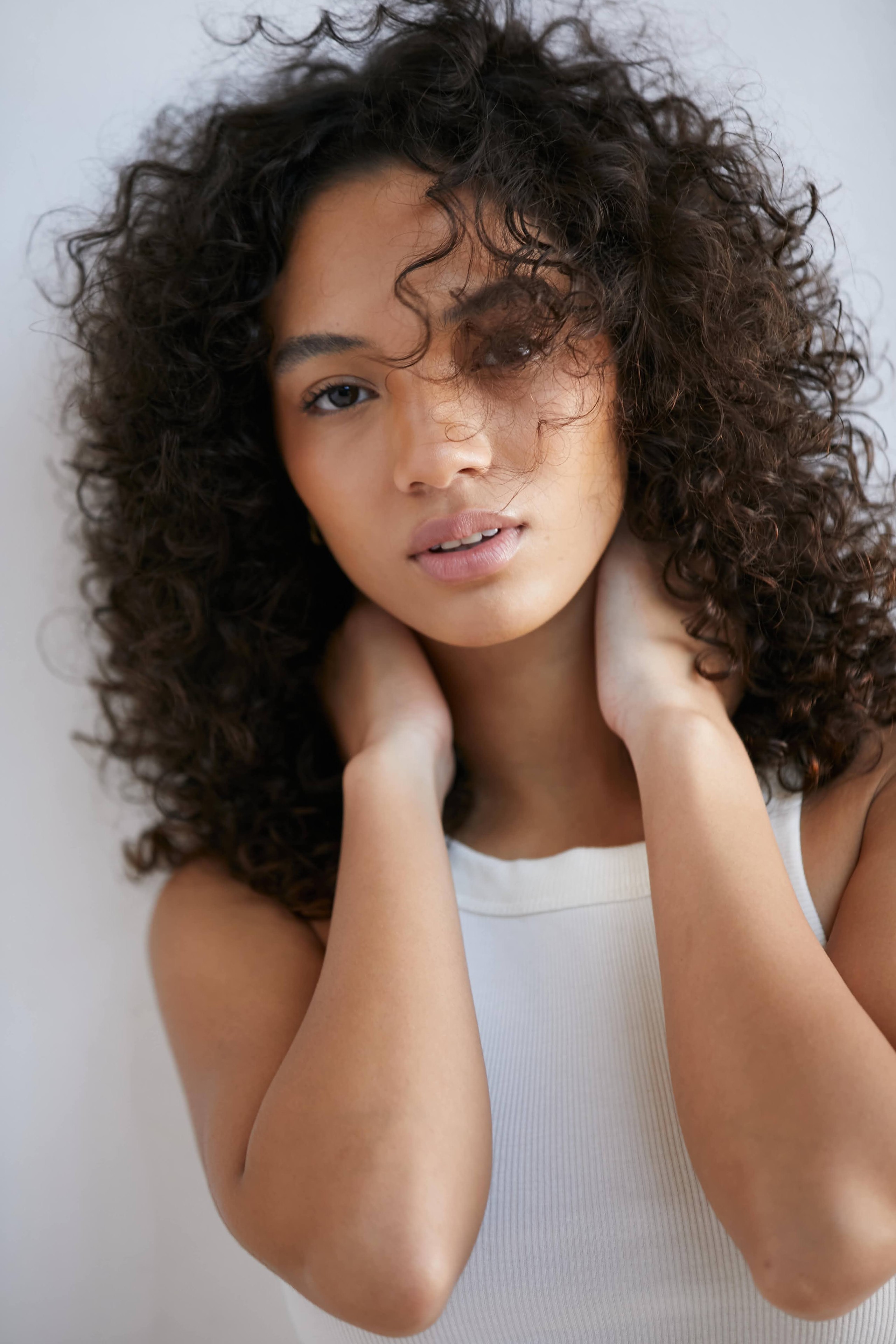 AFM MODEL | AFM MODEL